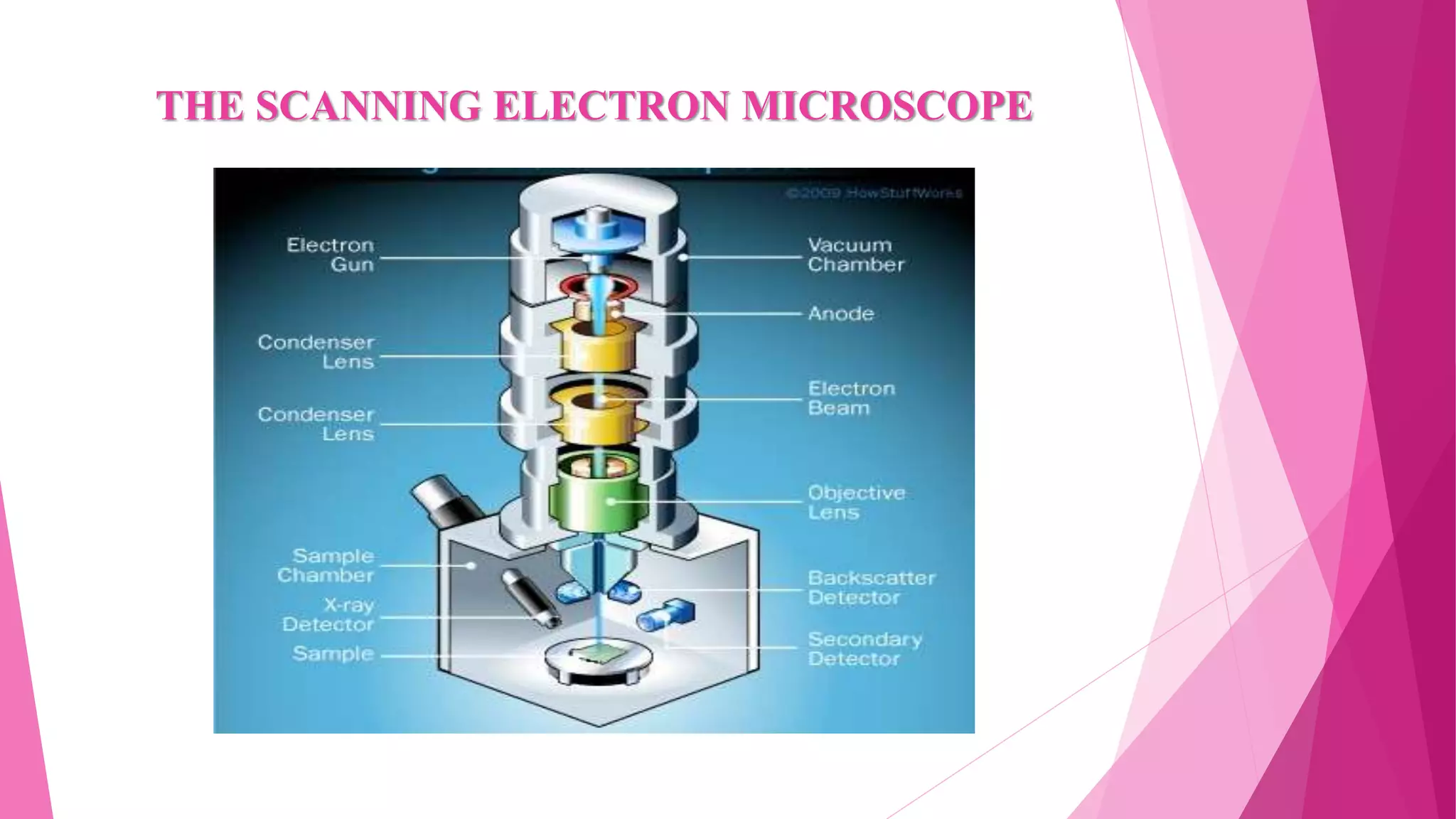 scanning electron microscope (SEM) | PPTX