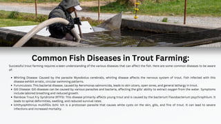 himvalleytrout-Major Fish Diseases for Successful Farming-Prevention ...