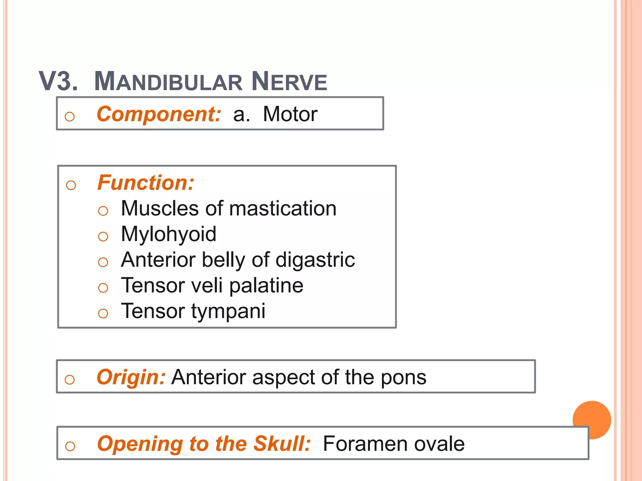 Cranial Nerves | PPTX
