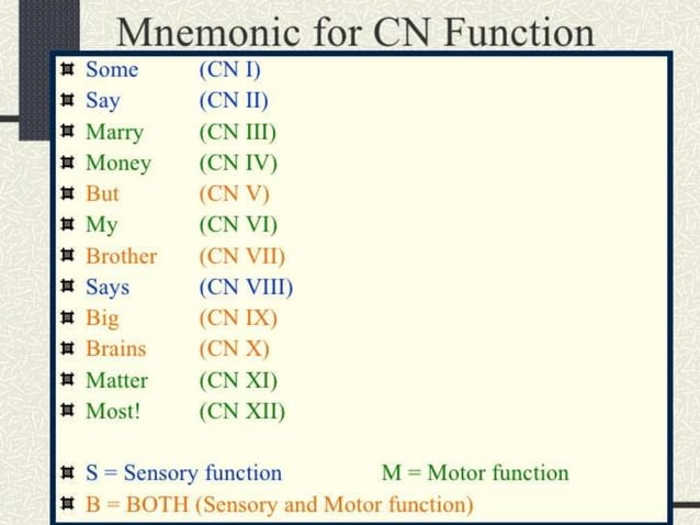 Cranial Nerves | PPTX