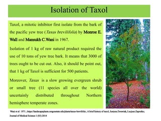 Hina isolation, elicitation and mechanism of anti cancerous activity of ...
