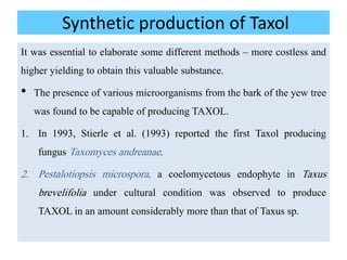 Hina isolation, elicitation and mechanism of anti cancerous activity of ...