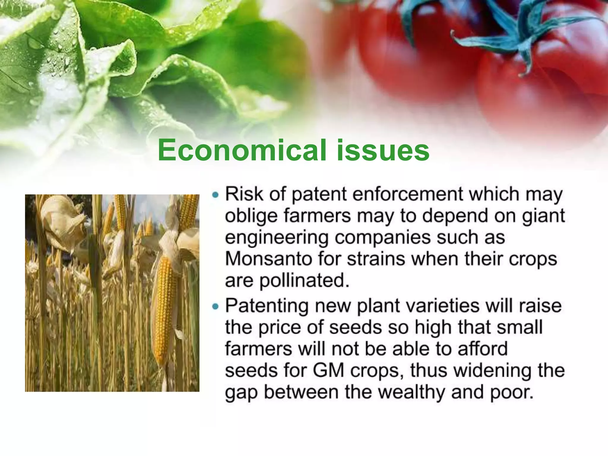 Genetically Modified Plants ppt | PPTX
