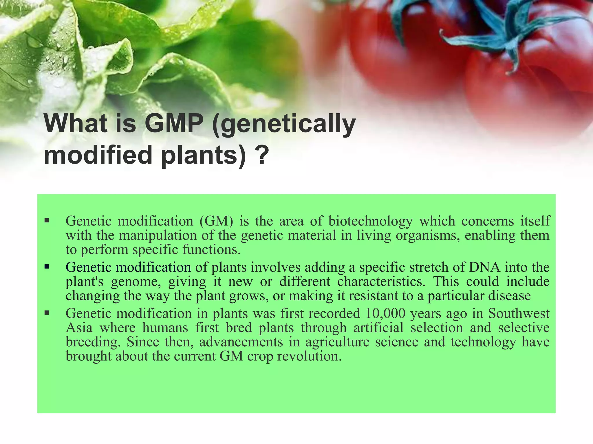 Genetically Modified Plants ppt | PPTX