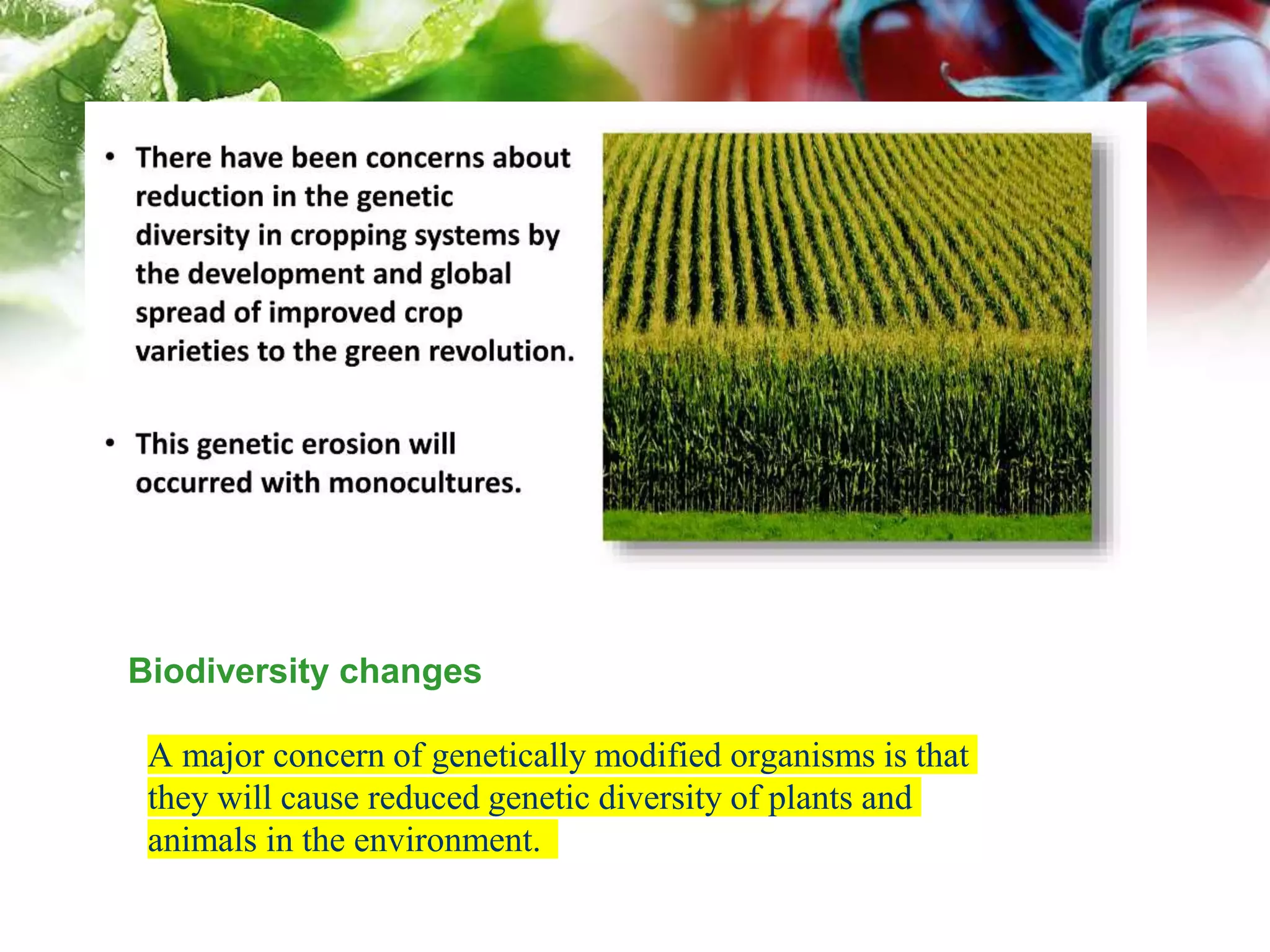 Genetically Modified Plants ppt | PPTX