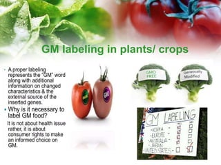 Genetically Modified Plants ppt | PPTX