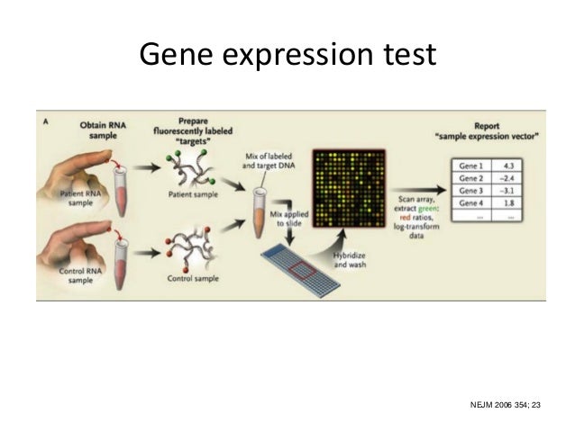 Research Update: Gene Expression in SSc