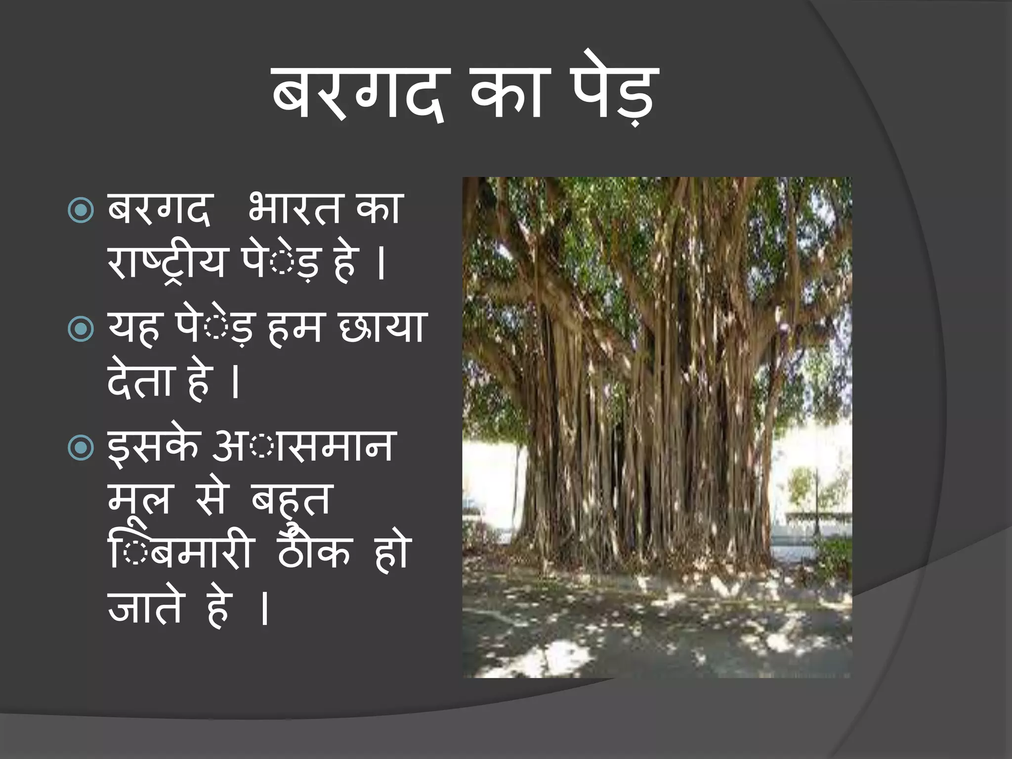 Hindi trees | PPTX