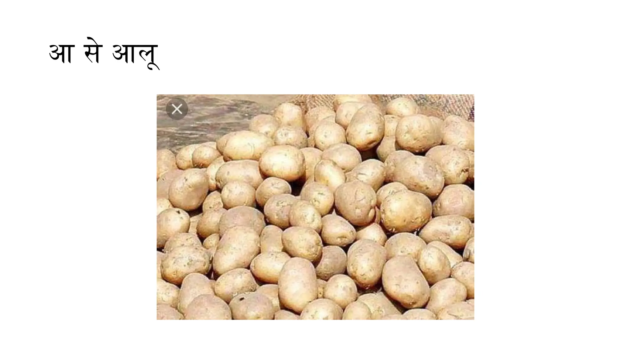 Hindi , Grammar and details plan and understanding PPT | PPTX
