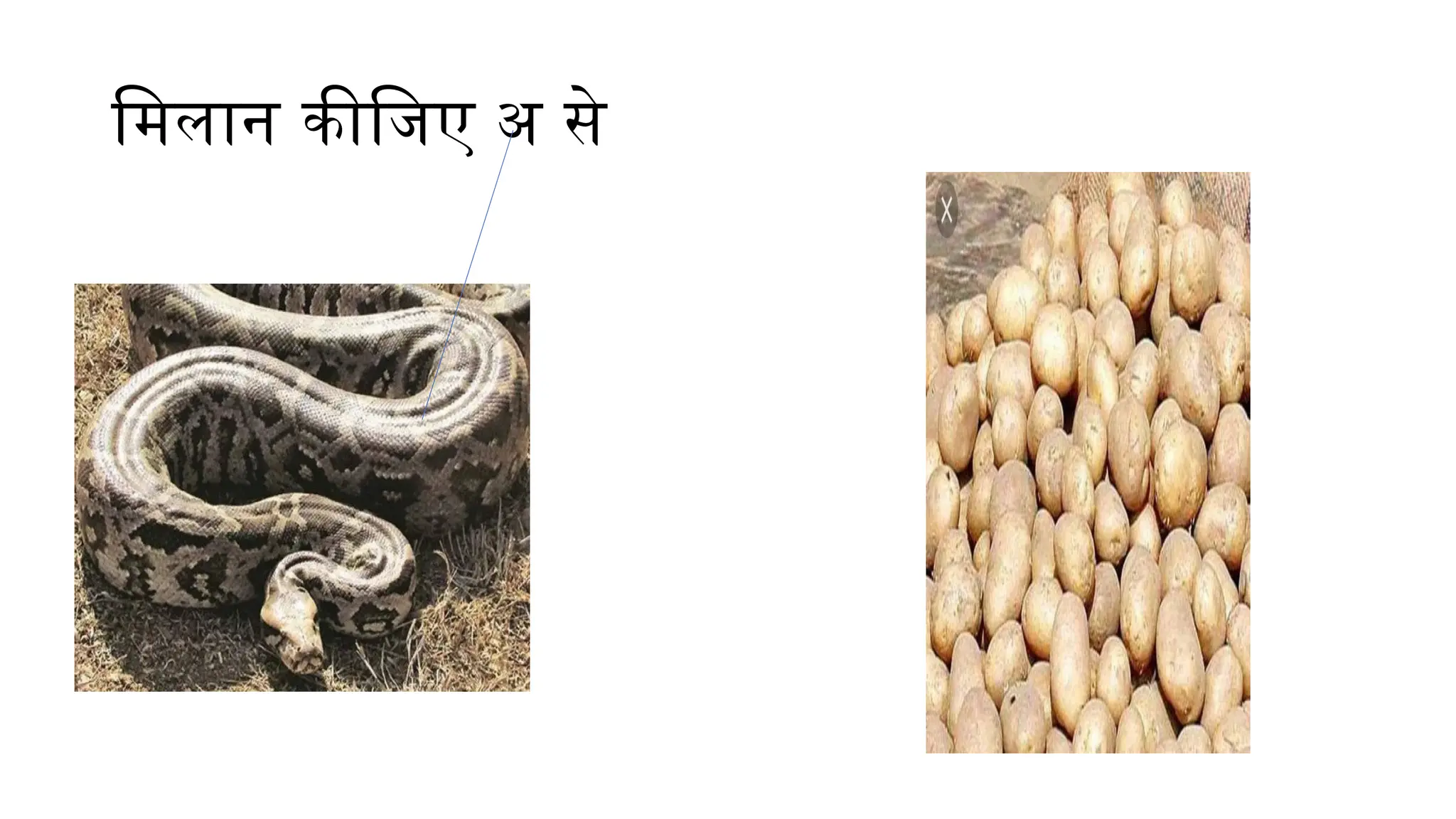 Hindi , Grammar and details plan and understanding PPT | PPTX