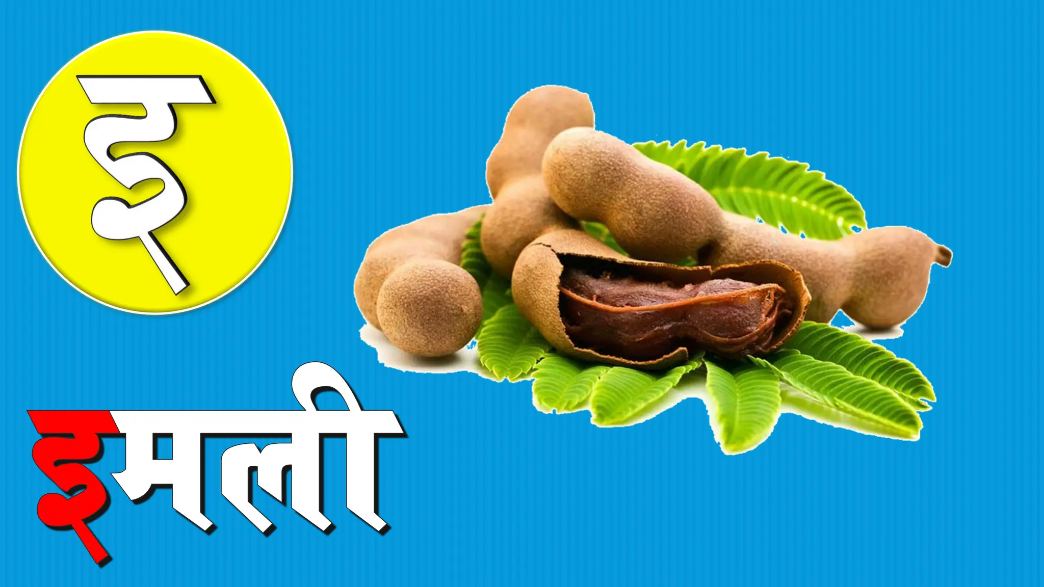 Hindi varnamala | hindi alphabet PPT.pdf