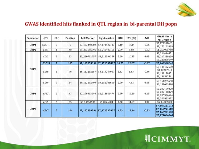 Genetic Mapping Of Kernel Zinc And Iron In Maize Pptx