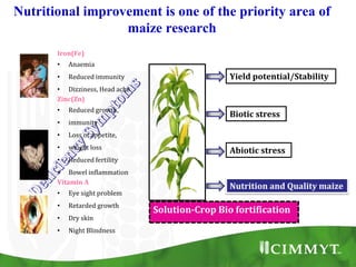Genetic Mapping of Kernel-Zinc and Iron in Maize | PPTX