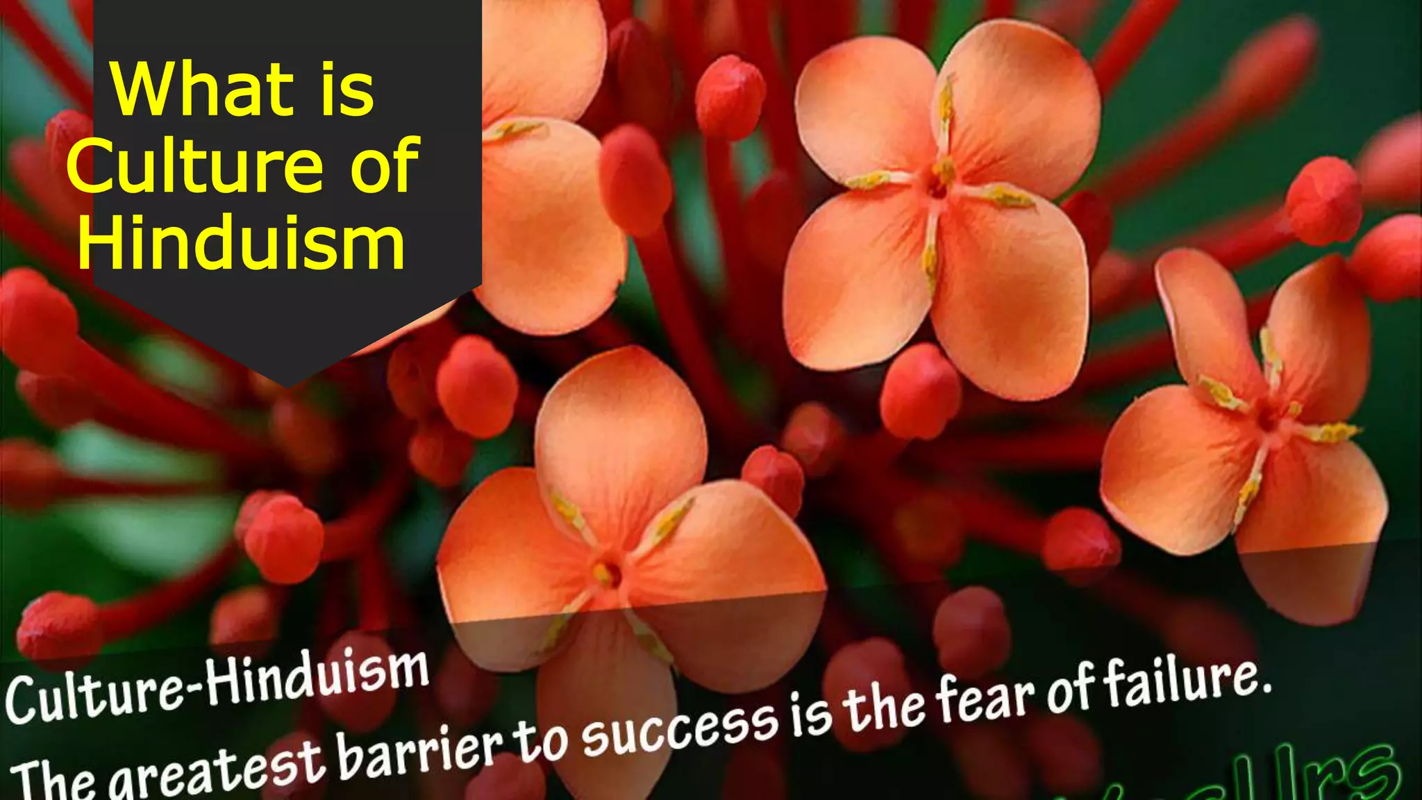 HINDUISM BASIC PRINCIPLES | PPTX