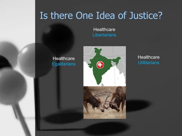The Flute, A Peltzman Effect & Indian Healthcare | PPT