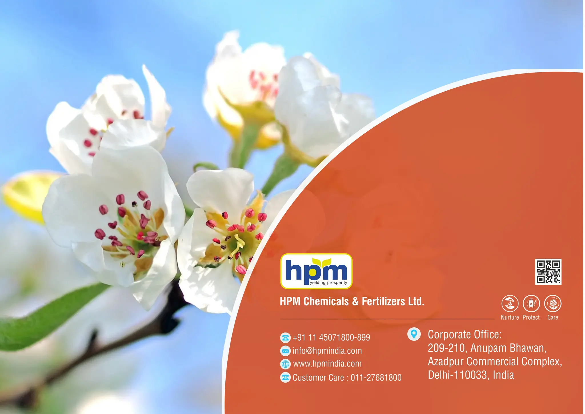 HPM Hindustan M-45 (Fungicides) Presentation | PPT