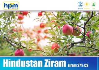 Hindustan ziram | PDF