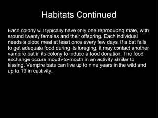 Vampire bats by Alex&Alex | ODP