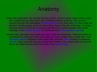 Vampire bats by Alex&Alex | ODP