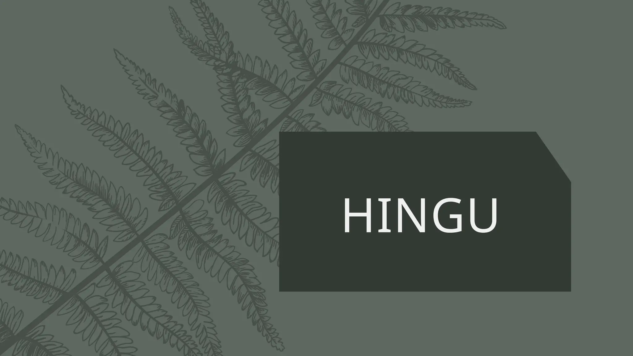 HINGU ppt …………………..(8575757687;;688);:() | PPT