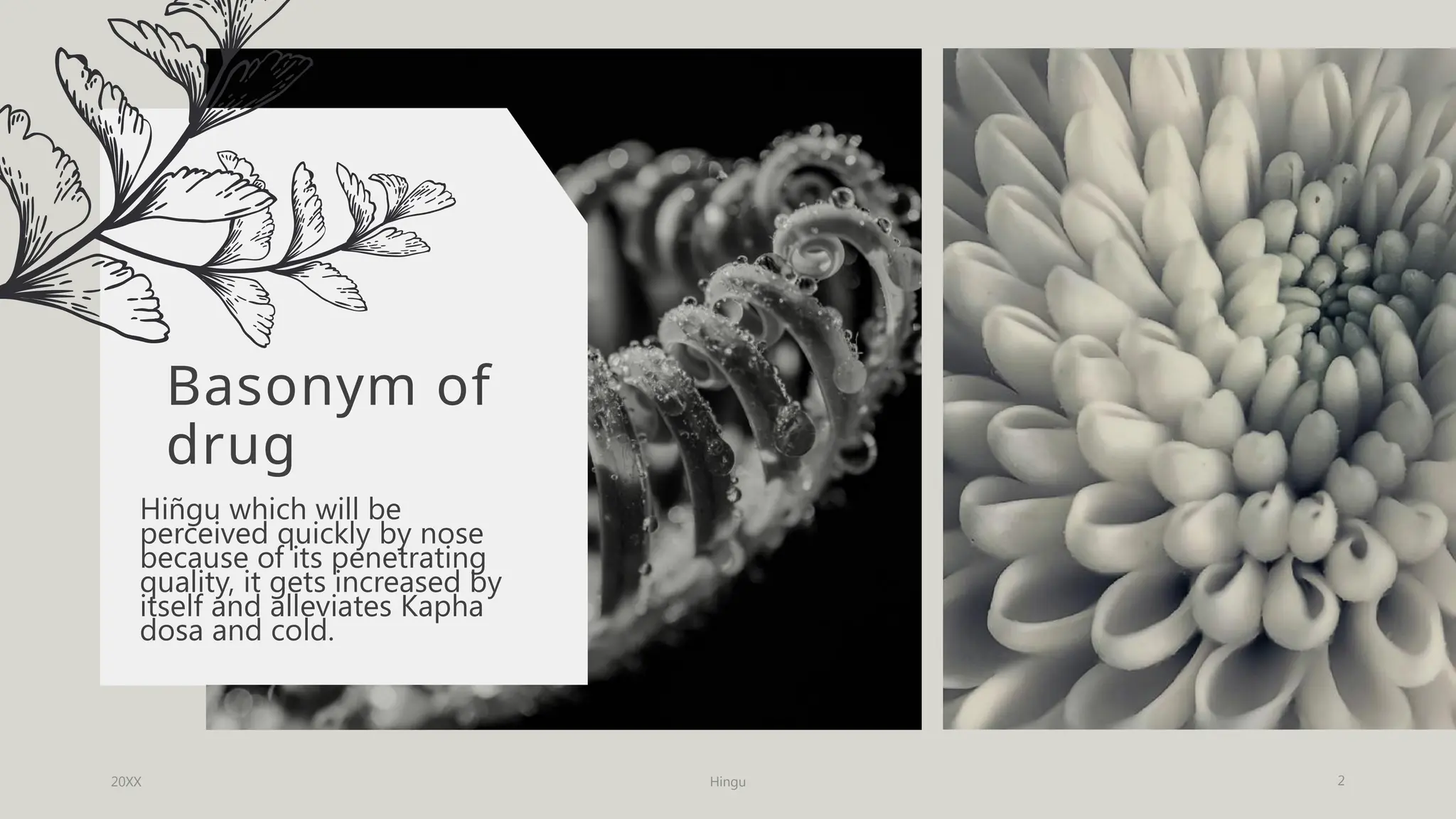 HINGU ppt …………………..(8575757687;;688);:() | PPT