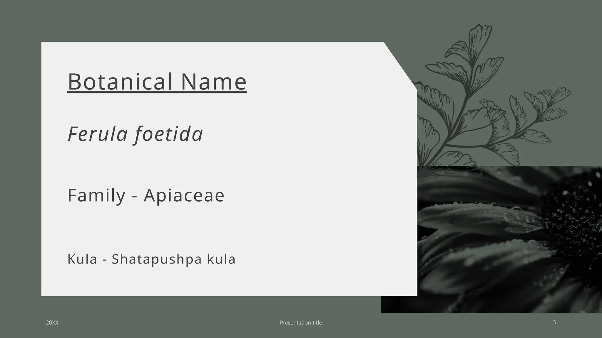 HINGU ppt …………………..(8575757687;;688);:() | PPT