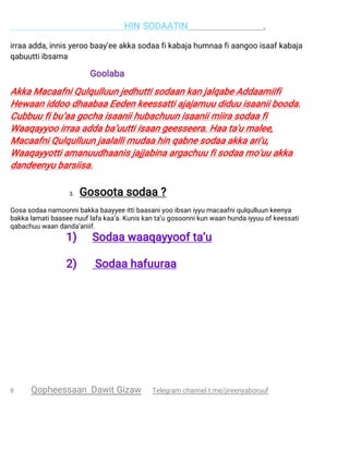 Hin Sodaatiin By Dawit (1).pdf