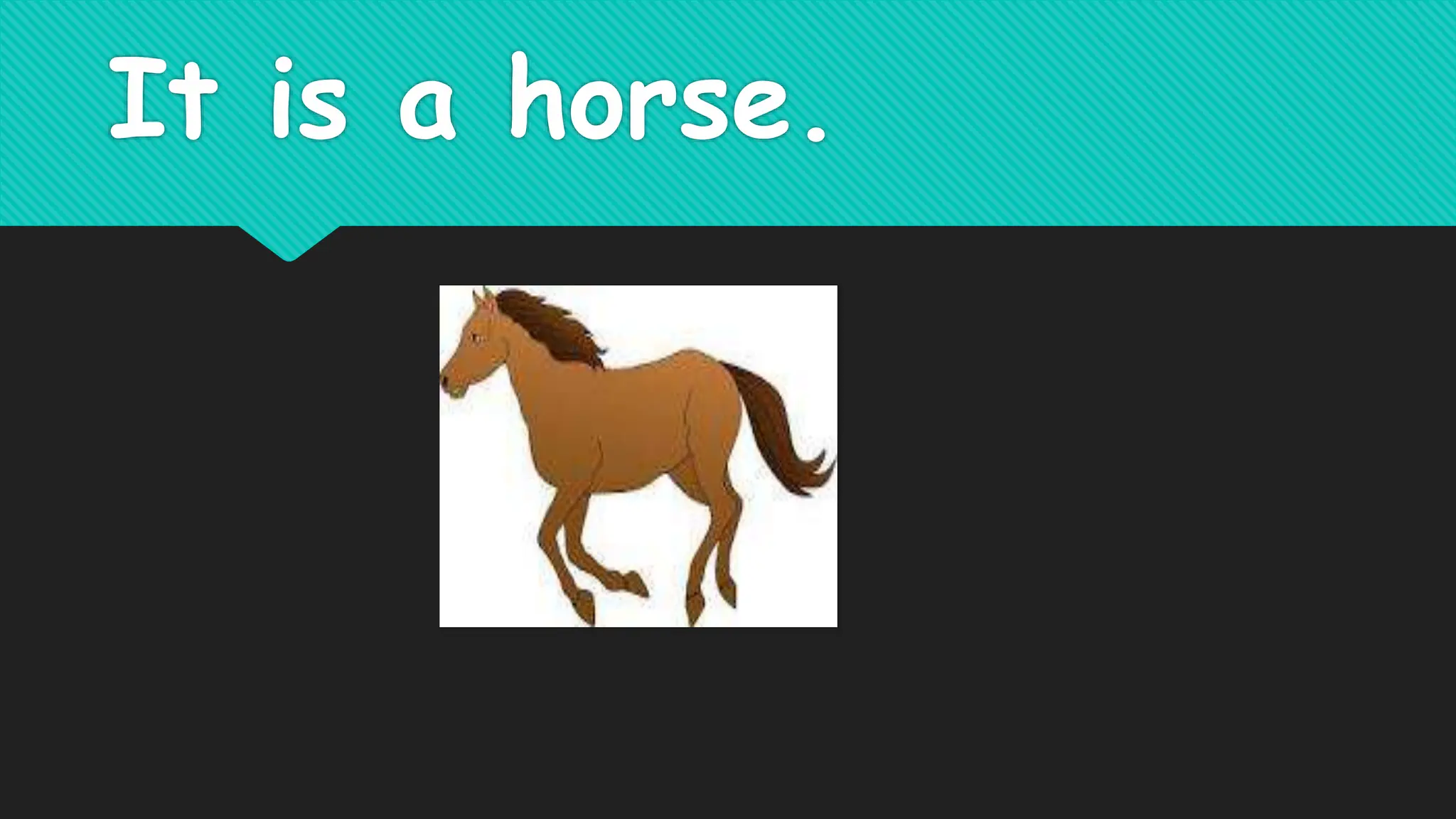 hint-quiz-using-animals_152905.pptx