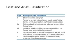 Hip anatomy, approaches & AVN | PPTX