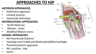 Hip anatomy, approaches & AVN | PPTX