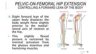 Hip-Biomechanics-SRS-ppt faculty of physiotherapy.ppt