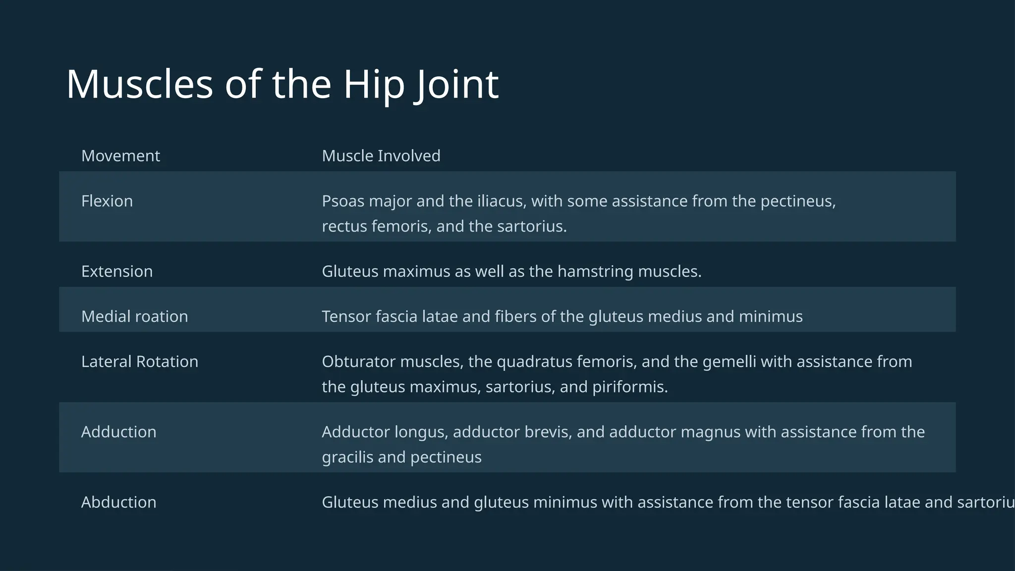 HIP JOINT ANATOMY : Joint Capsule,Ligaments,Movements and Muscles ...