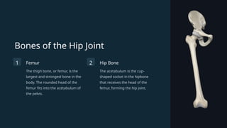 HIP JOINT ANATOMY : Joint Capsule,Ligaments,Movements and Muscles ...