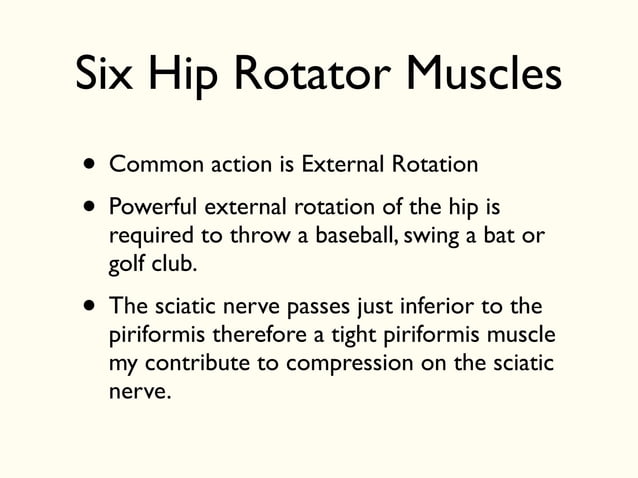 Hip-muscles.pdf