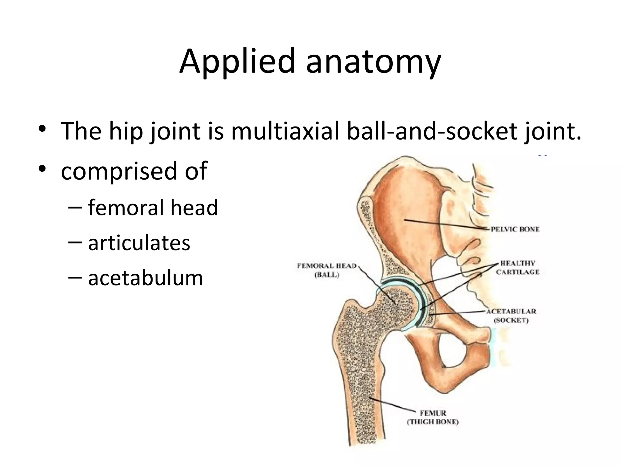 Hip test-complete1 | PPT