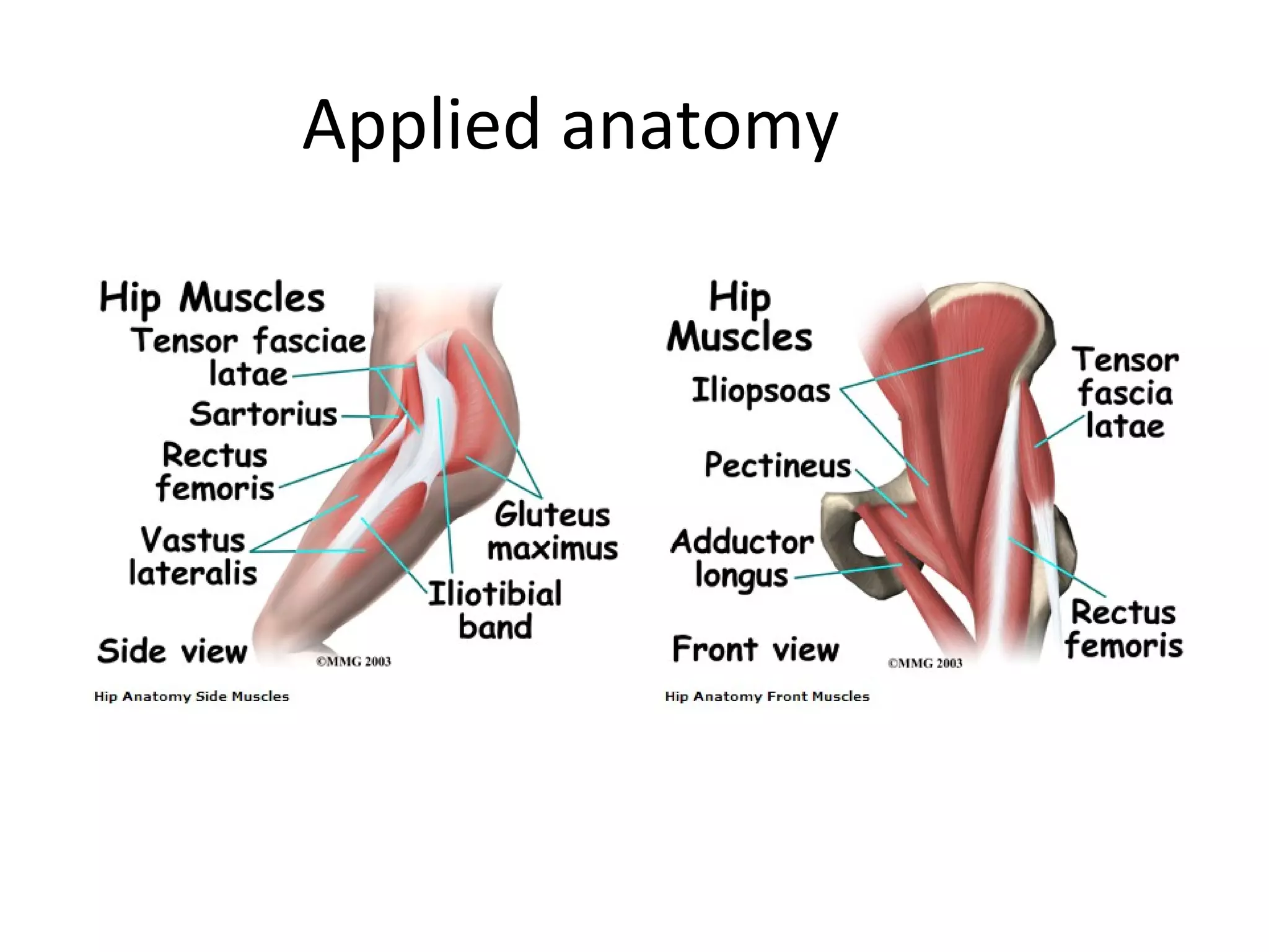 Hip test-complete1 | PPT