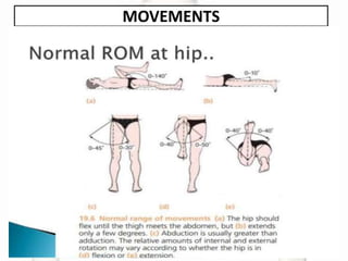 HIP (1) presentation.pptx