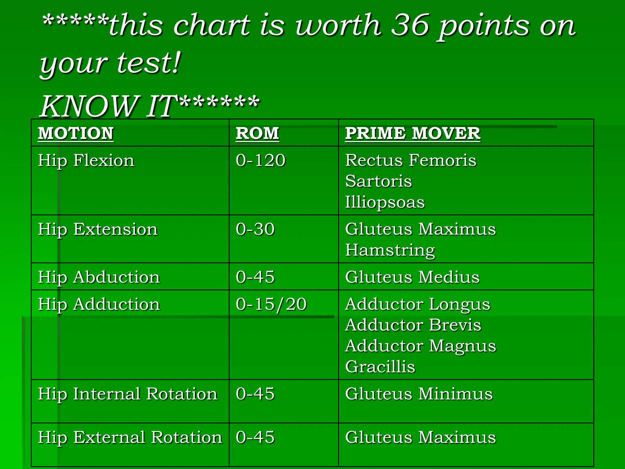 Hipbone_Anatomy and its muscle attachement .ppt