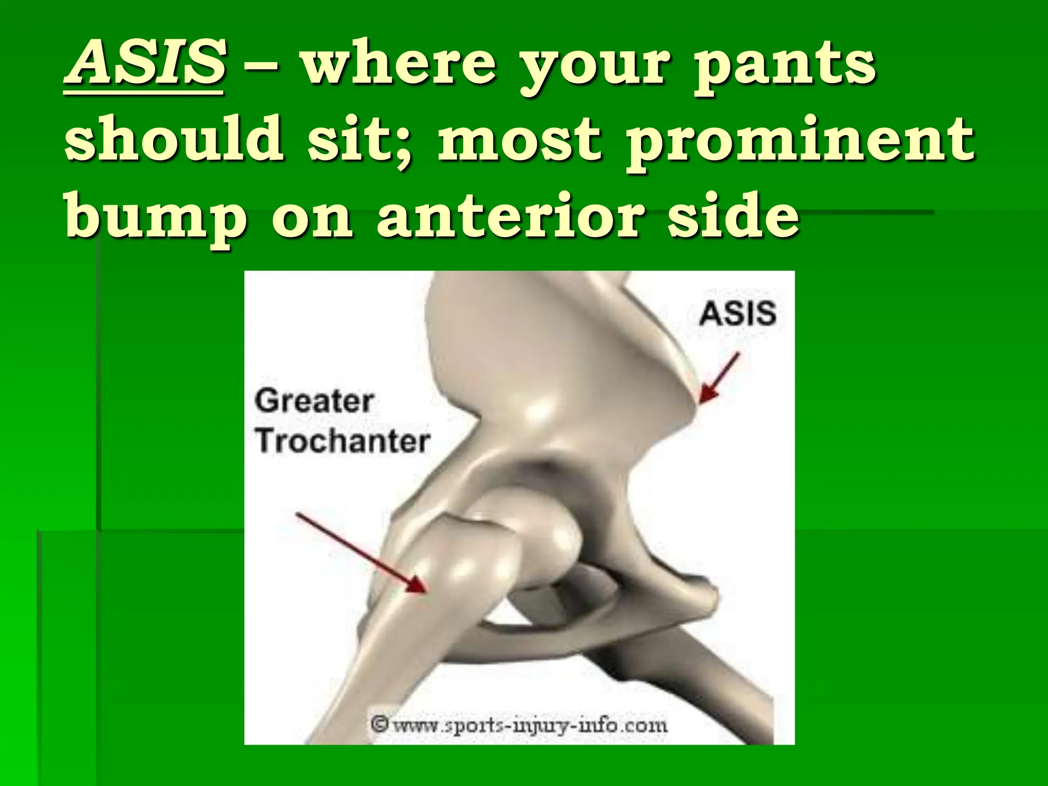 Hipbone_Anatomy and its muscle attachement .ppt