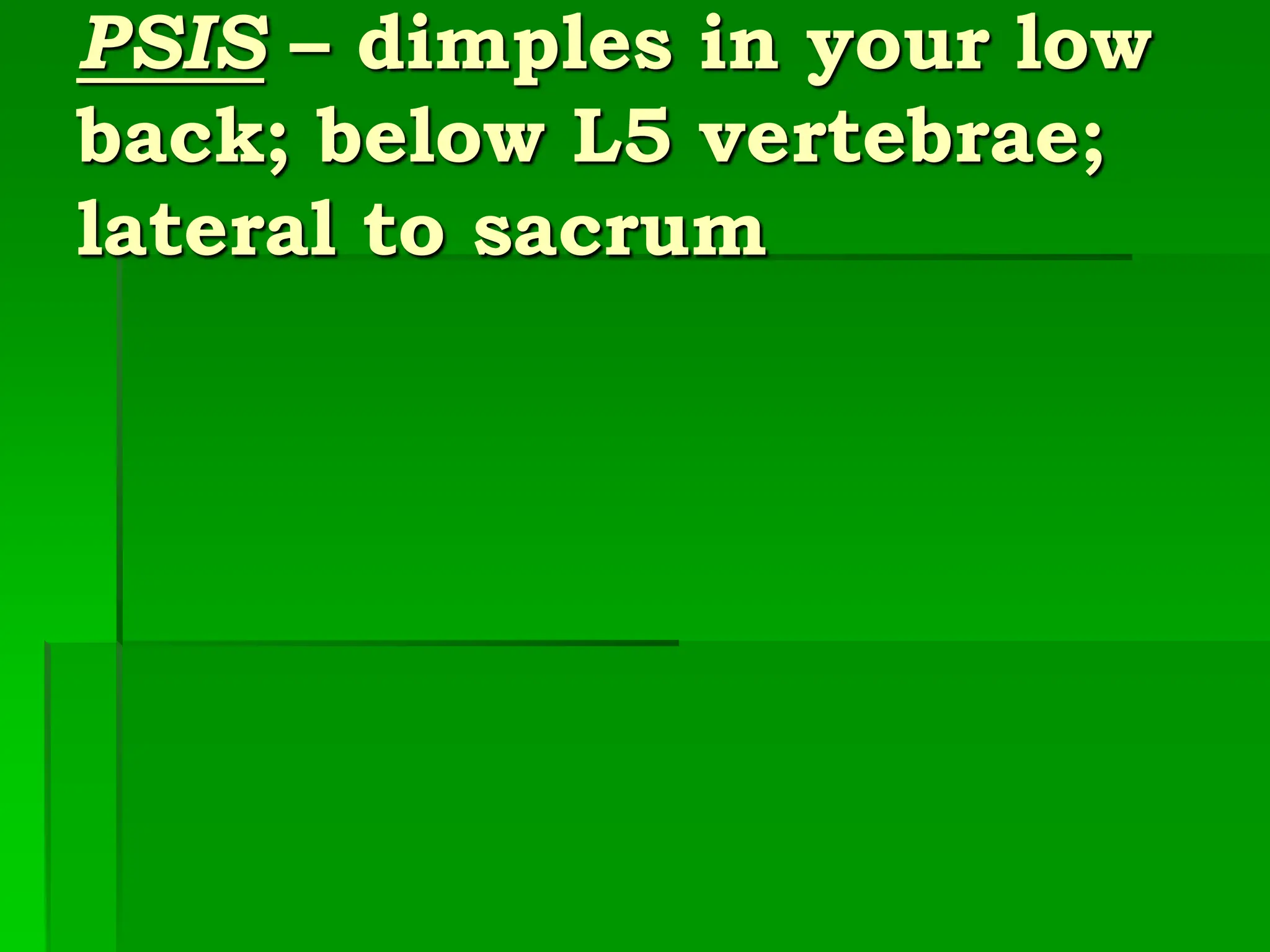 Hipbone_Anatomy and its muscle attachement .ppt