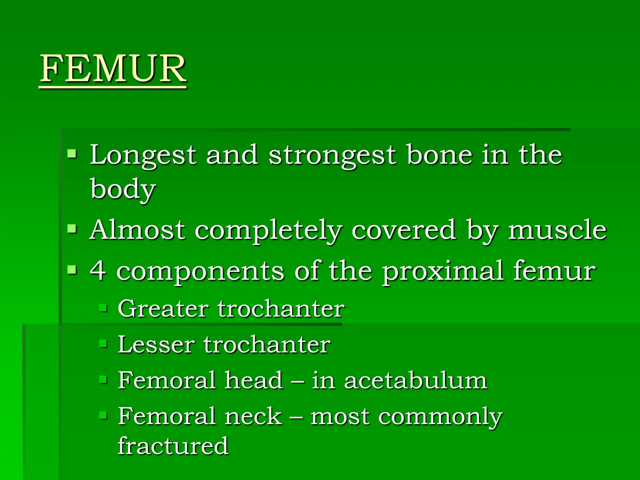 Hipbone_Anatomy and its muscle attachement .ppt