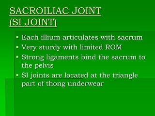 Hipbone_Anatomy and its muscle attachement .ppt