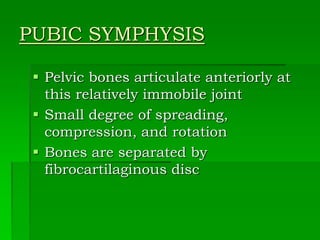 Hipbone_Anatomy and its muscle attachement .ppt