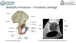 Hip - Anatomy and Biomechanics | PPTX