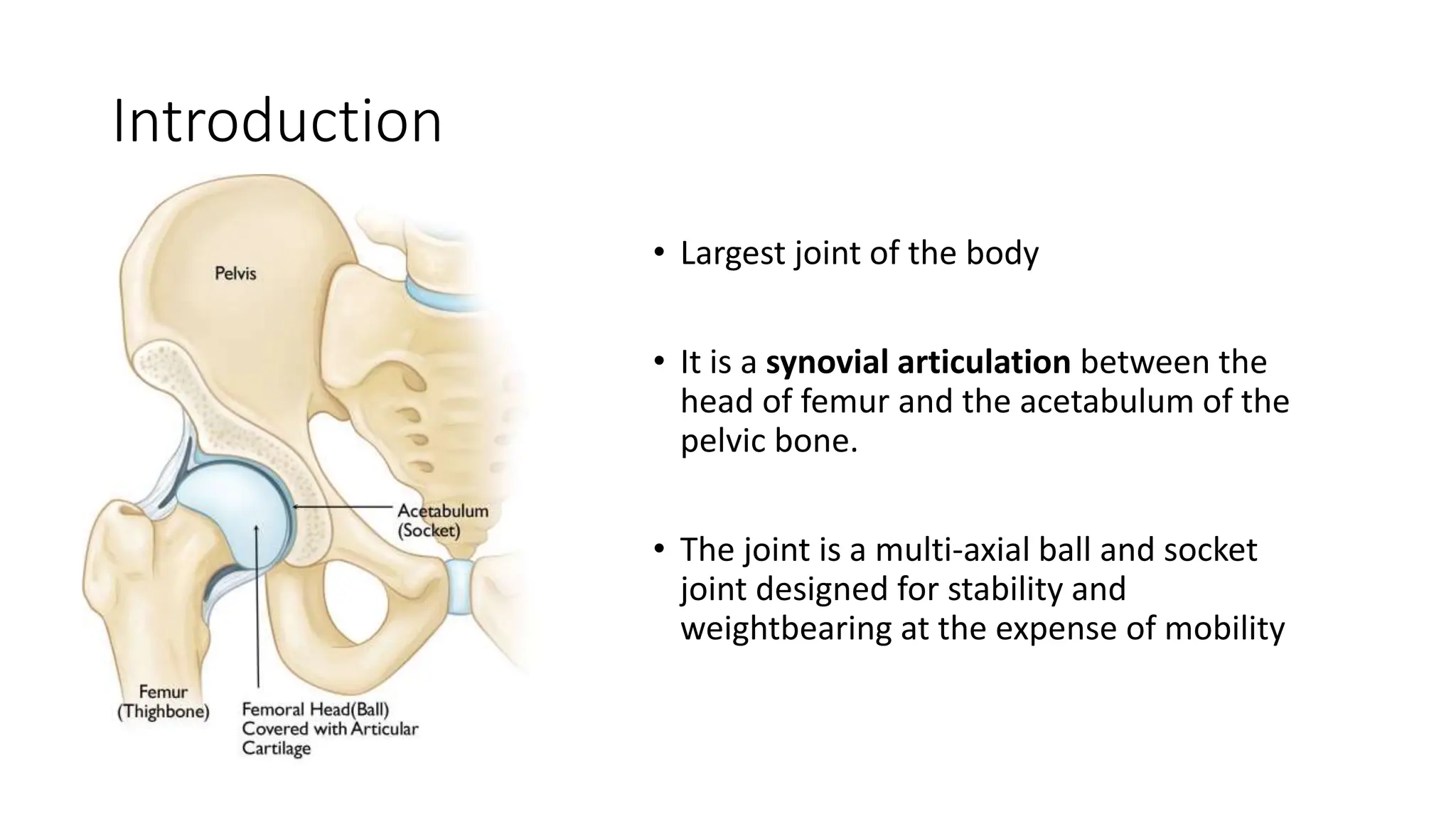 Surgical approaches to Hip.pptx