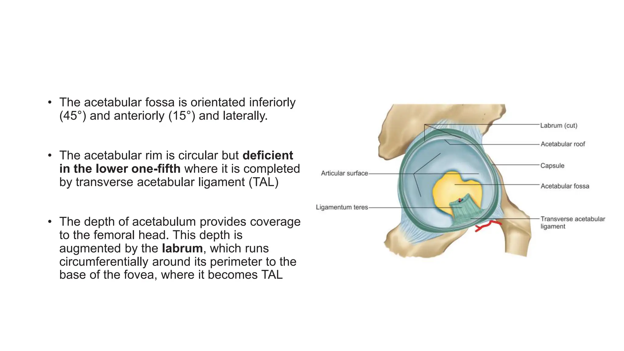 Surgical approaches to Hip.pptx