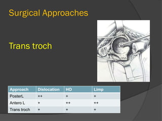 Hip arthroplasty surgical anatomy and approaches | PDF