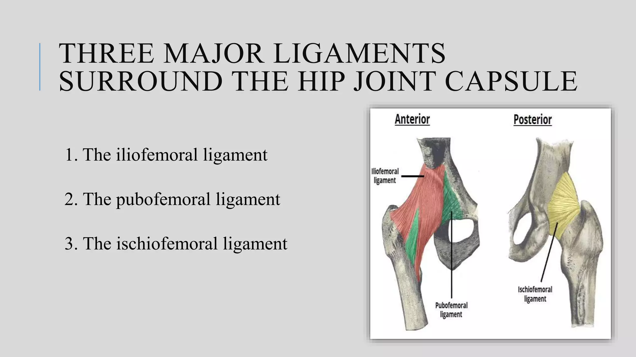 Hip Arthroscopy | PPTX