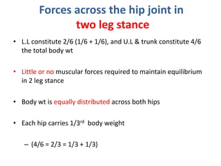 Hip biomechanics | PPTX