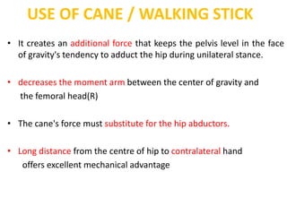 Hip biomechanics | PPTX